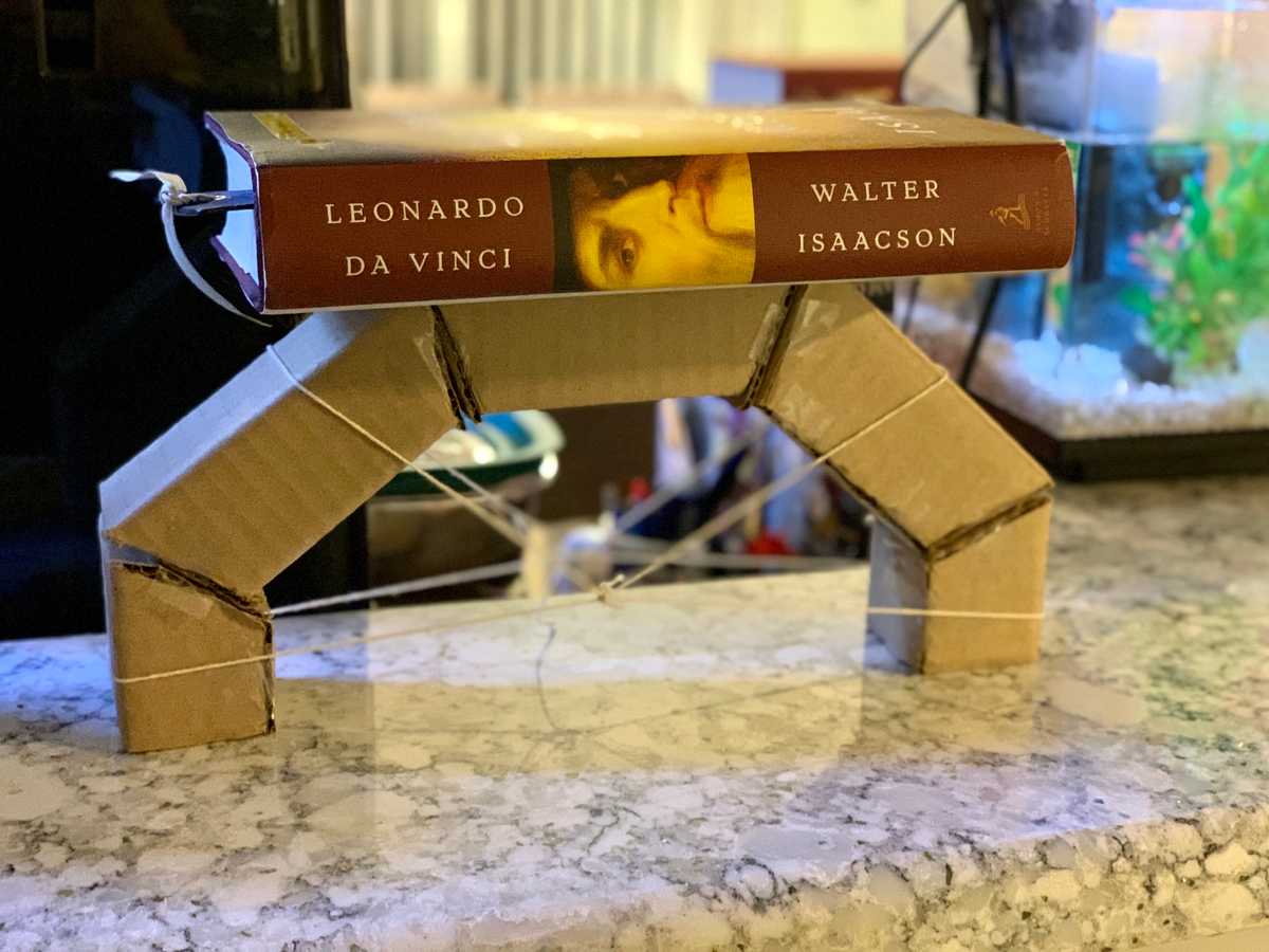 Happy Birthday, Leonardo.